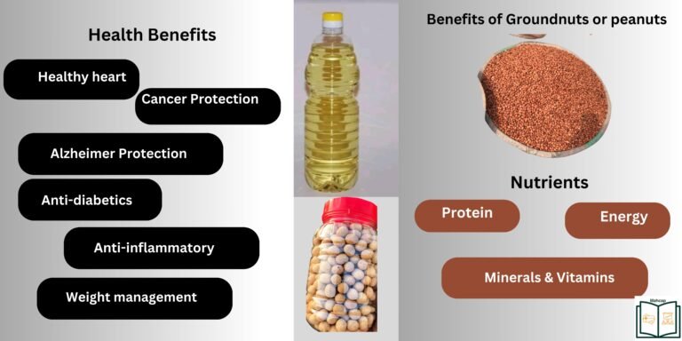 Mahcap | Nutrition and Health Benefits of Groundnuts/Peanuts