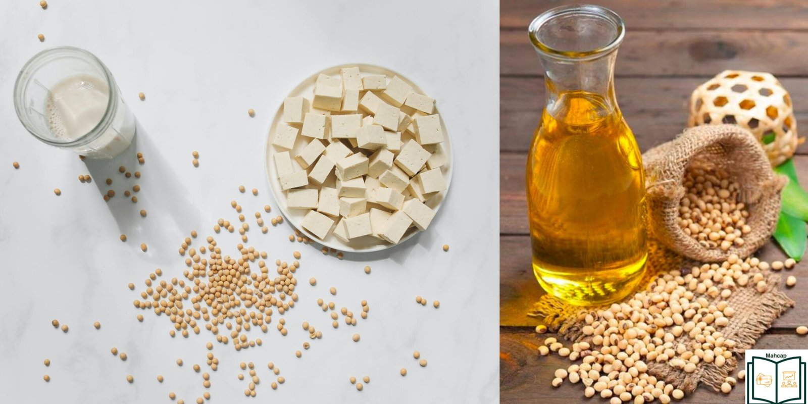 Mahcap | Nutrition and Health Benefits of Soybeans